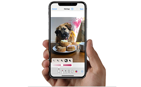 iPad - Official Apple Support