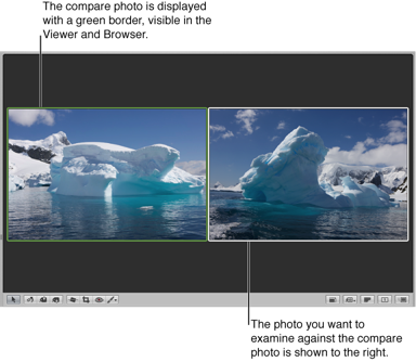Aperture 3.x: Comparing Photos