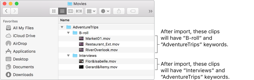 Xivsim Validating Files