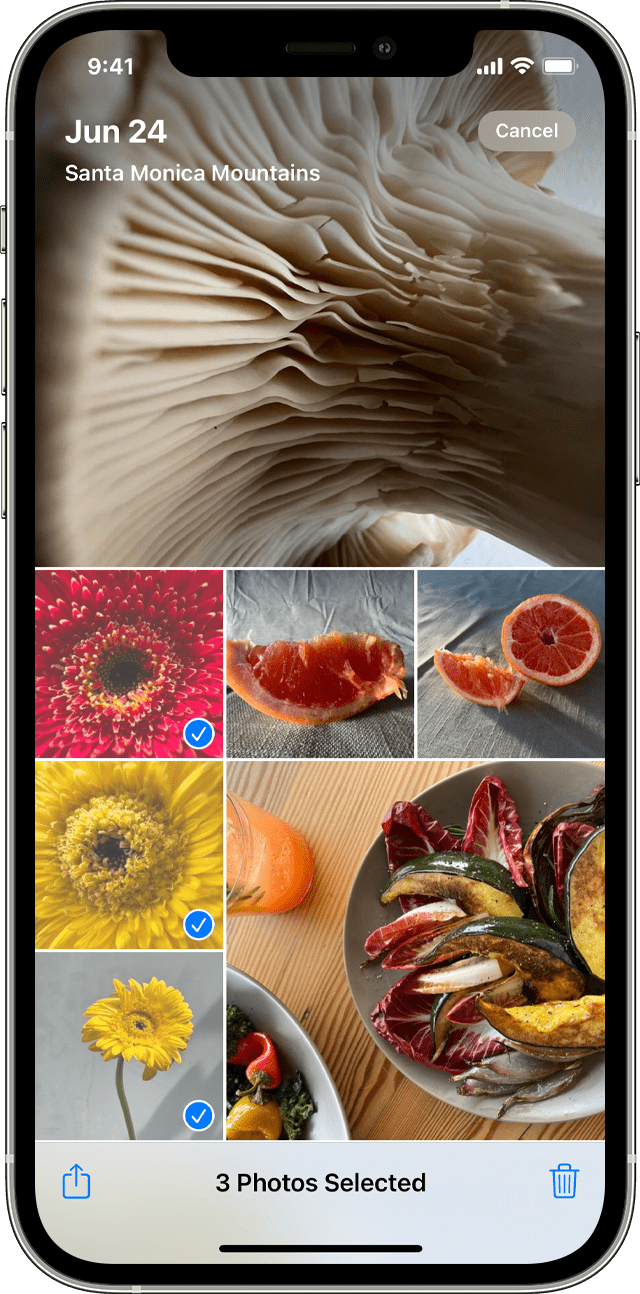 How To Delete Deleted Photos Iphone Buzzard Sandemnotim
