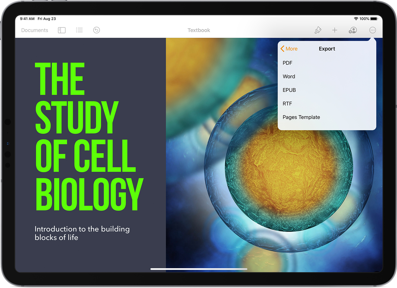 Convert Pages Documents To PDF Microsoft Word And More Apple Support