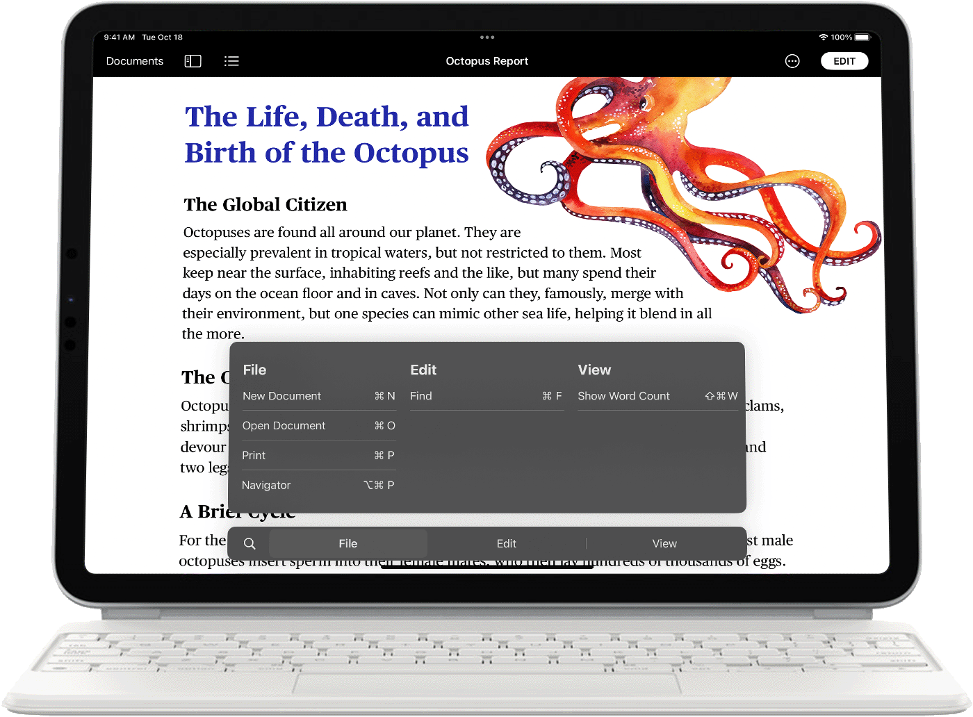 Learn IPad Keyboard Shortcuts Apple Support