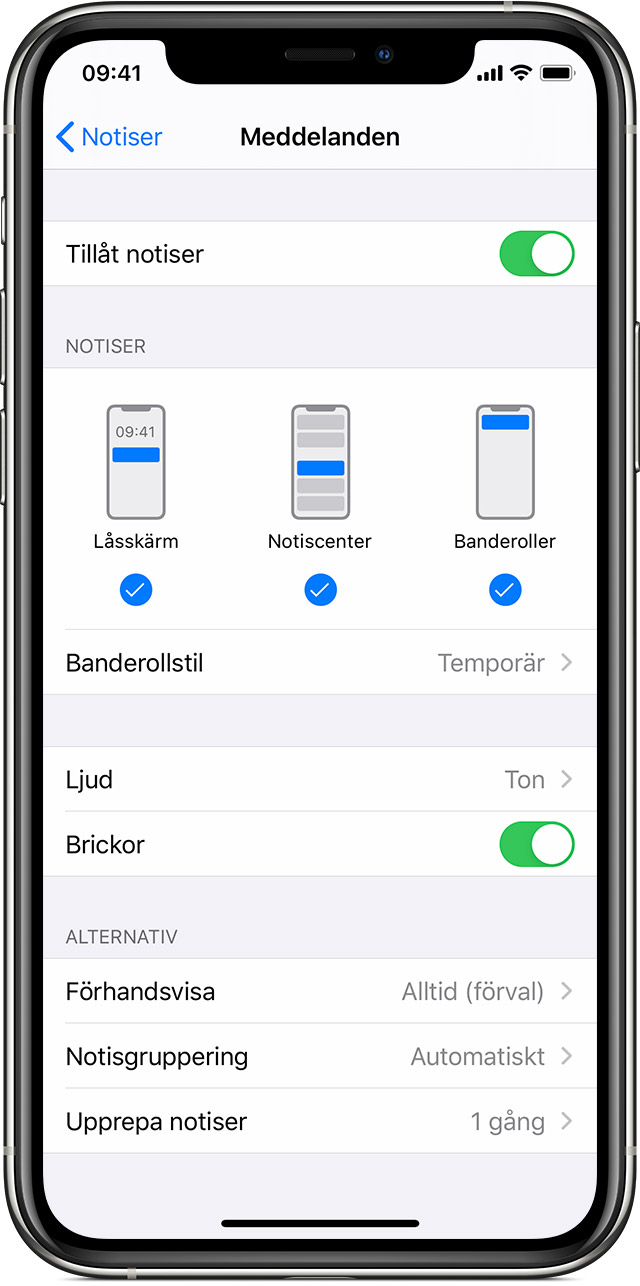 Använda notiser på iPhone, iPad och iPod touch - Apple-support (SE)